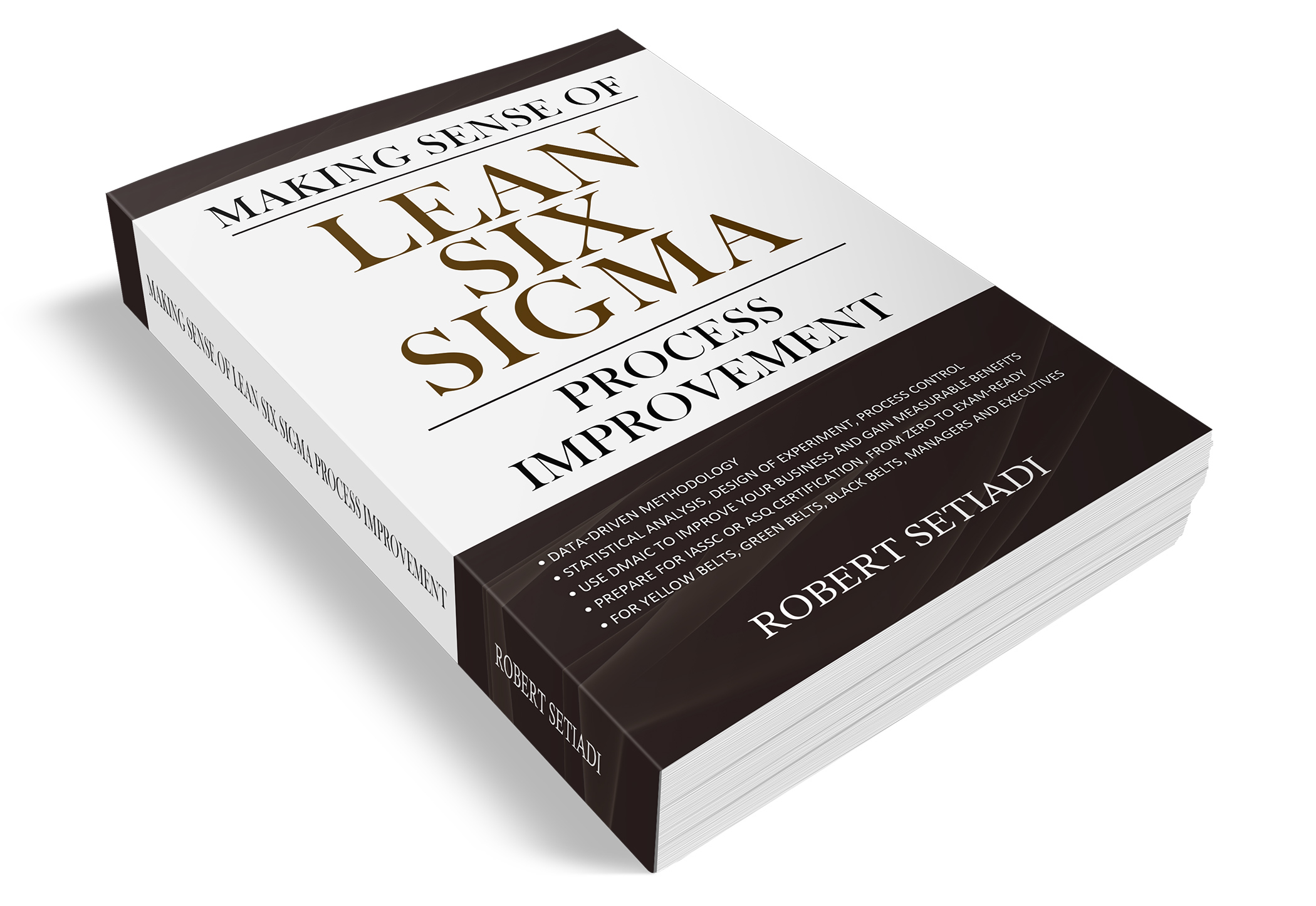 New Book: Making Sense of Lean Six Sigma Process Improvement – Robert ...