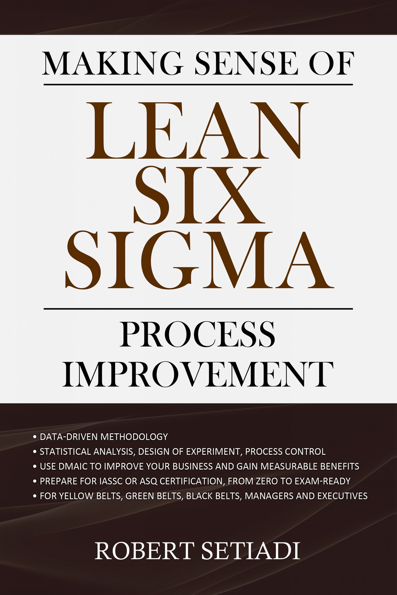 Making Sense of Lean Six Sigma Process Improvement – Robert Setiadi Website